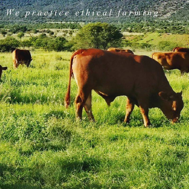 Grass-Fed Langside Meats: Where Good Health, Great Flavour & Ethical F ...